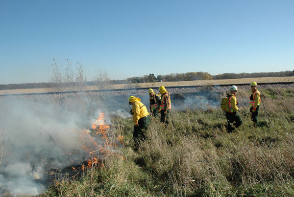 Newsline - Minnesota Department of Transportation Employee News